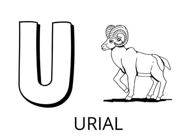 Coloriages Alphabet des Animaux (Lettres et alphabet) – Dessins à ...