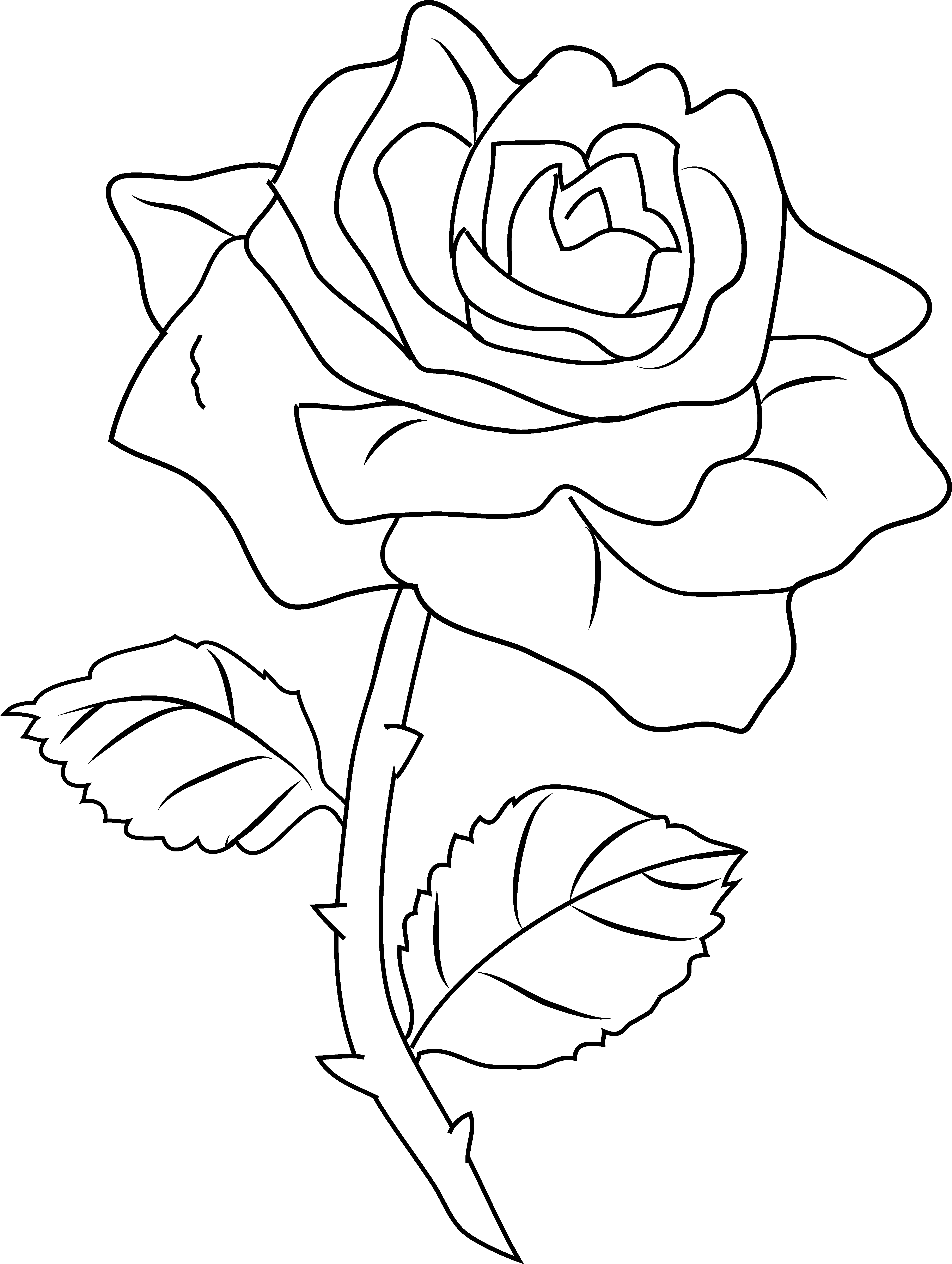 Pages à Colorier Imprimables De Roses